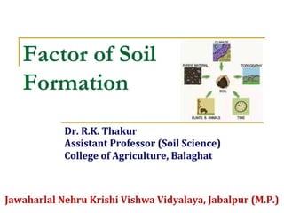 Fss factor soils | PPT