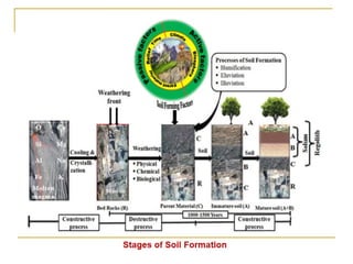 Fss factor soils | PPT