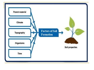 Fss factor soils | PPT
