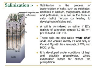 Fss process soil | PDF