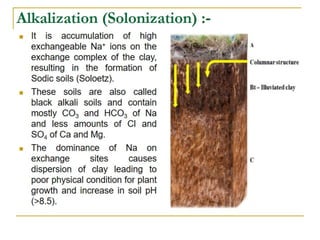 Fss process soil | PDF