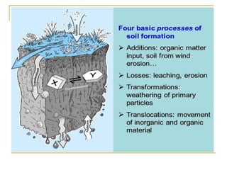 Fss process soil | PDF