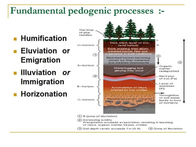 Fss process soil | PDF | Geology | Science