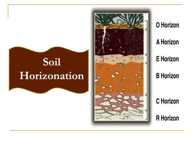 Fss process soil | PDF | Geology | Science
