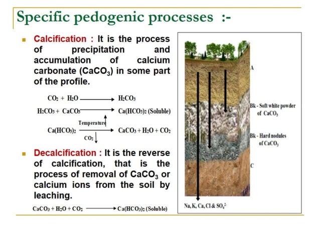 Fss process soil | PDF | Geology | Science