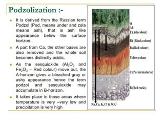 Fss process soil | PDF