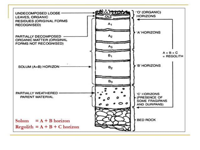 Fss soil profile | PPT