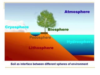 Fss soils | PPT