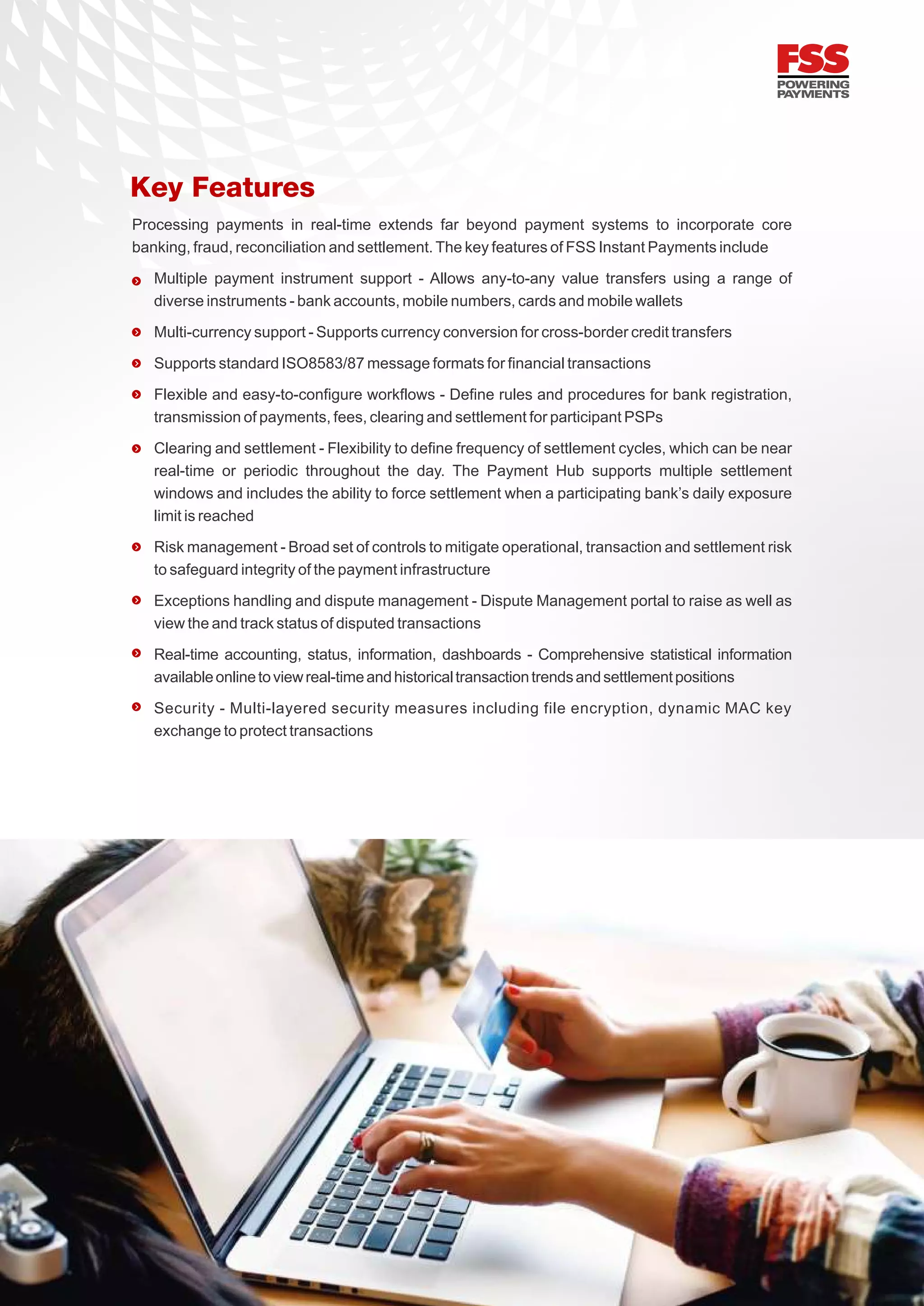 FSS Instant Payments | PDF