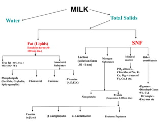 Milk | PPT