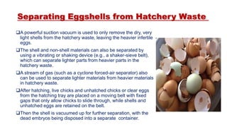 By-Products of Egg Industry | PPTX