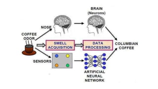 Computer Aided Sensory Evaluation of Food And Beverages | PPTX