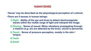 Computer Aided Sensory Evaluation of Food And Beverages | PPTX