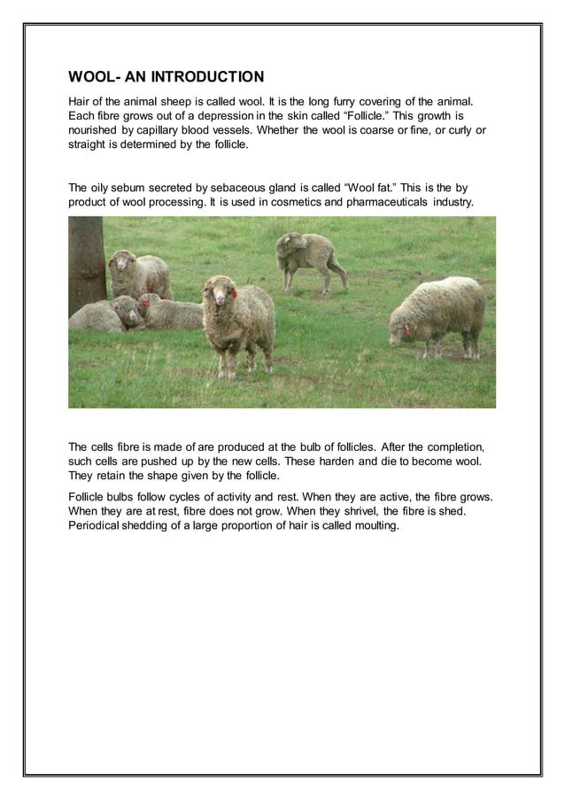 Fabric Science - Wool | PDF