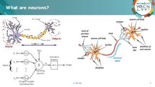 “Introduction to Computer Vision with Convolutional Neural Networks,” a ...