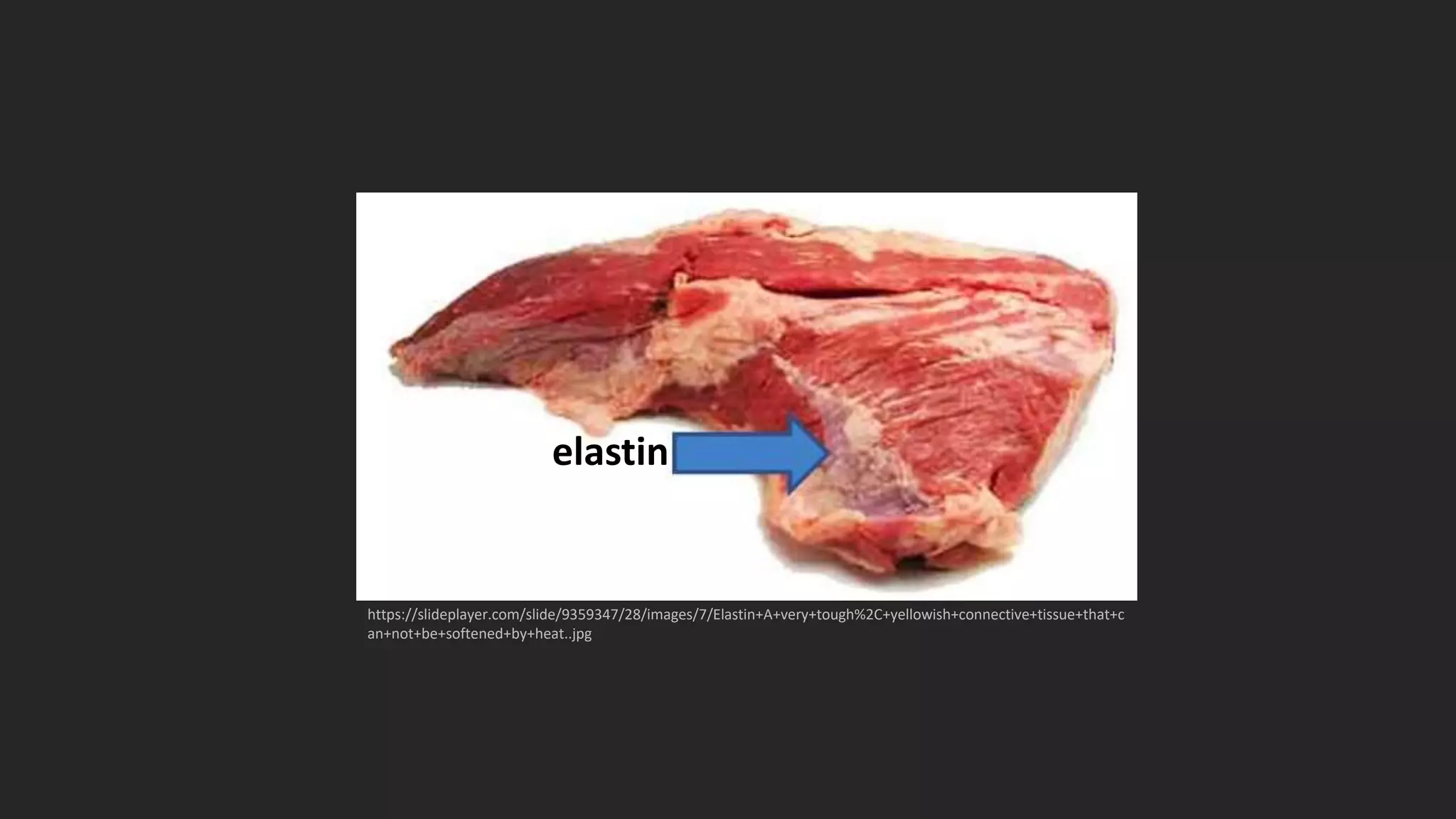 FT 2110 Lecture Chap 4 _ Meat.pptx | Vegetarian Diets | Food & Drink