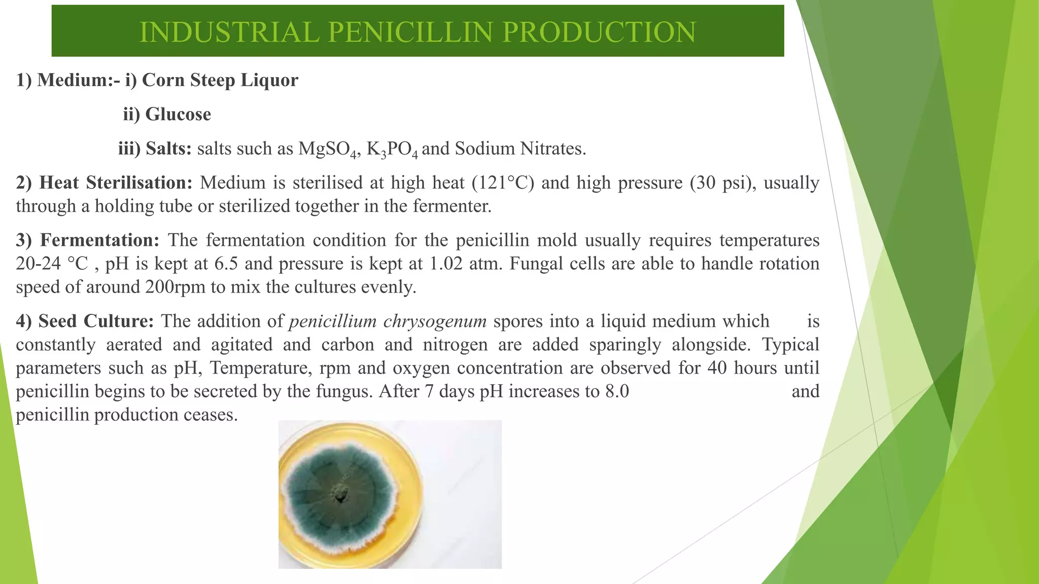 Basics on Penicilin production | PPTX