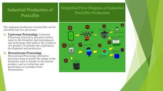 Basics on Penicilin production | PPTX