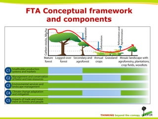 Forests, trees and agroforestry: What role in food security and ...