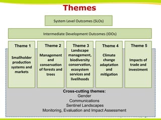 Forests, trees and agroforestry: What role in food security and ...