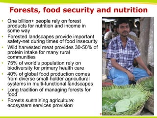 Forests, trees and agroforestry: What role in food security and ...