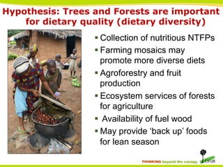 Forests, trees and agroforestry: What role in food security and ...