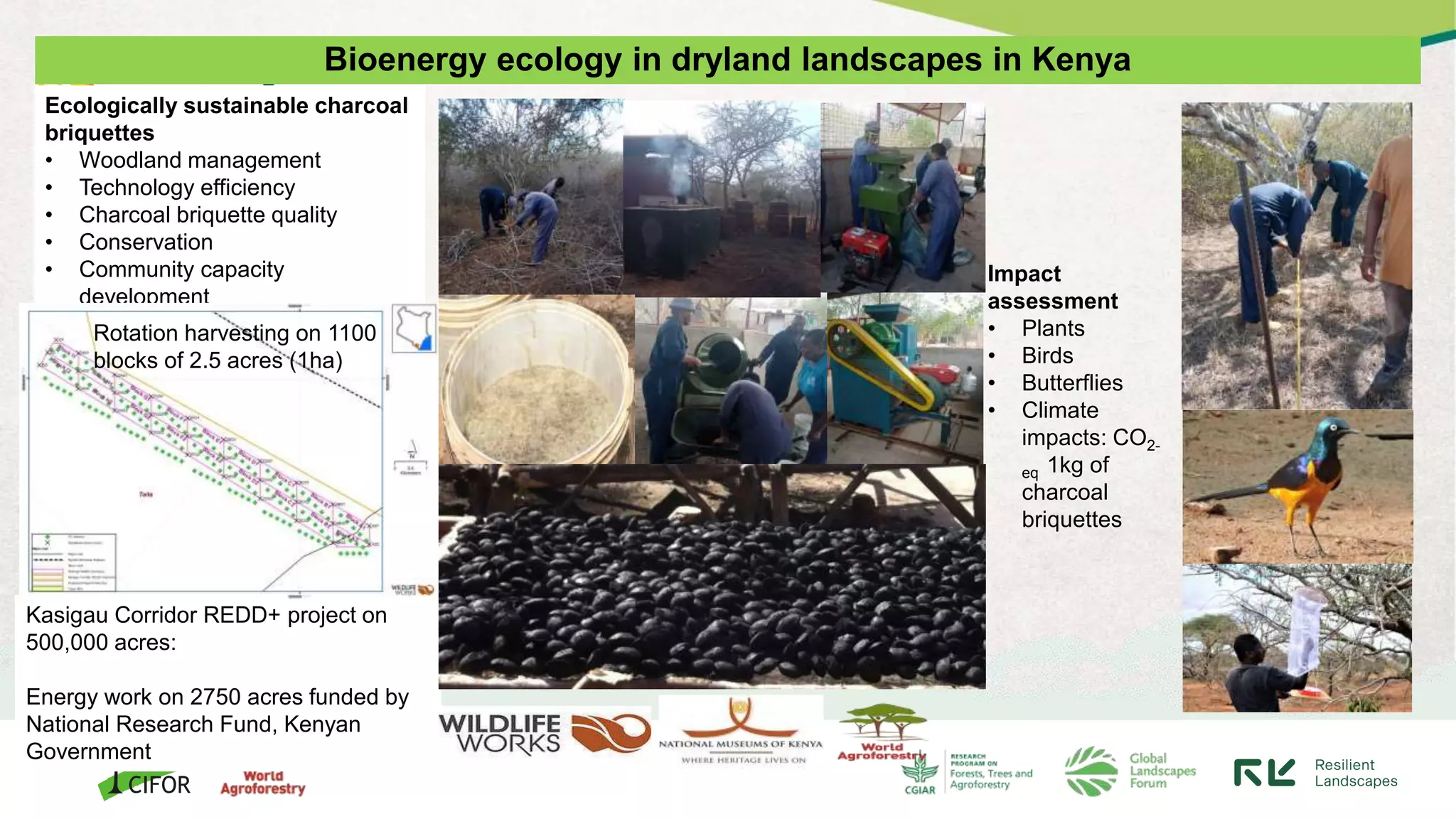 Tree and bamboo-based circular bioeconomy for alternative biomass ...