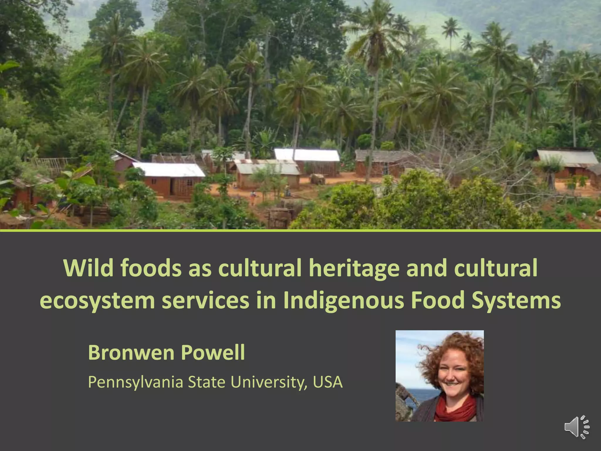 Wild foods as cultural heritage and cultural ecosystem services in Indigenous Food Systems | PPTX