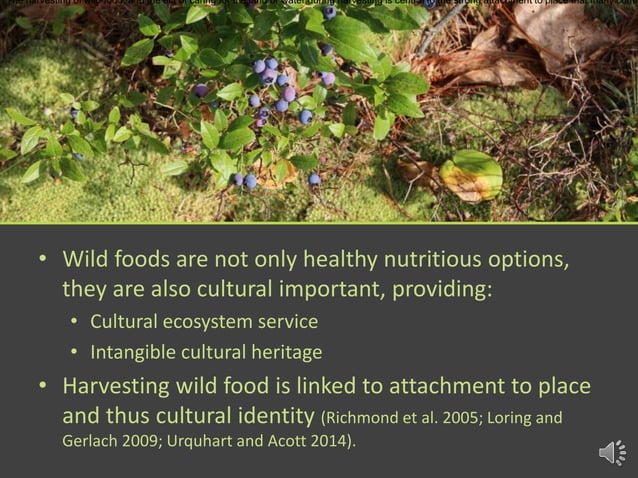 Wild foods as cultural heritage and cultural ecosystem services in ...