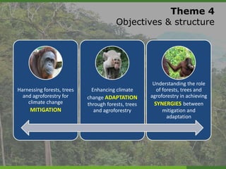 Theme 4 - Climate Change Mitigation and Adaptation | PPTX