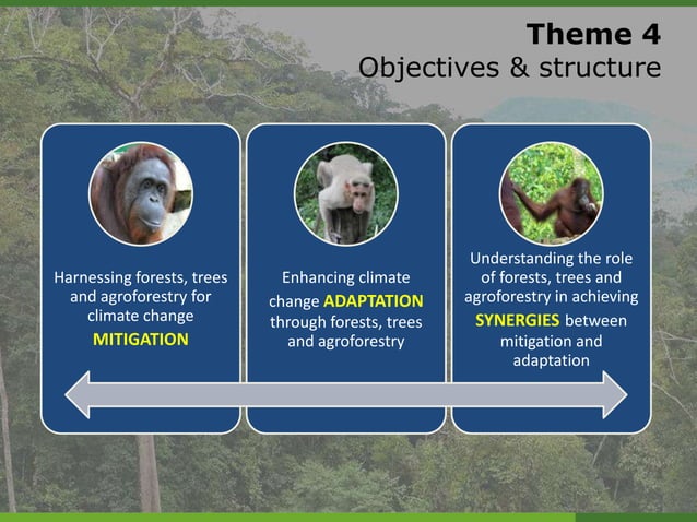Theme 4 - Climate Change Mitigation and Adaptation | PPTX