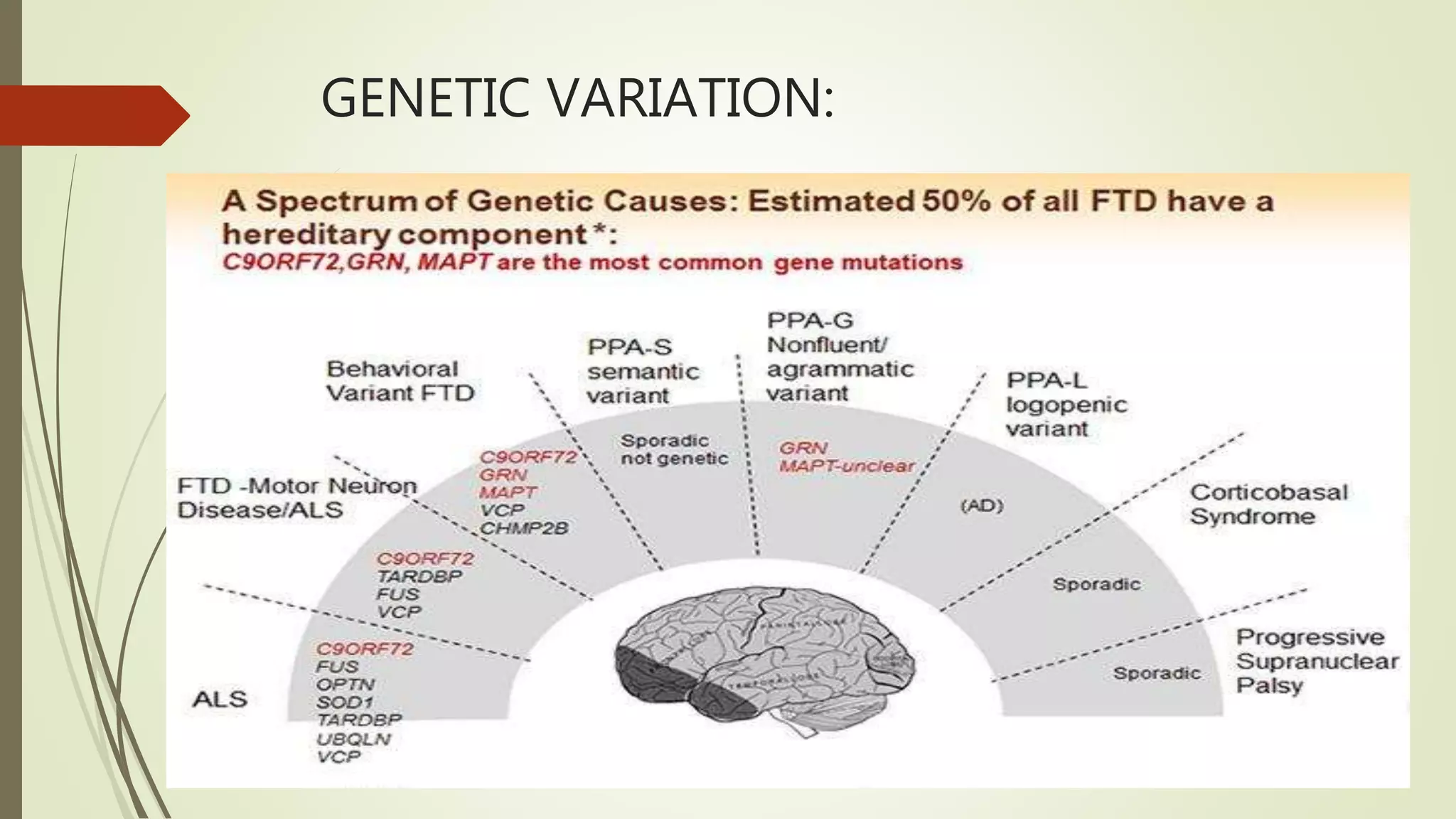 FRONTO TEMPORAL DEMENTIA | PPTX