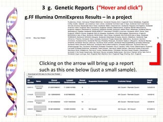 FTDNA Houston Project Management | PPT
