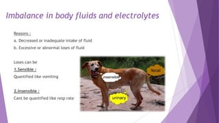 Fluid Therapy in Animals | PPTX