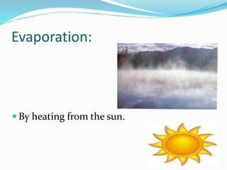 F the water cycle | PPTX