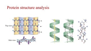 FTIR analysis of secondary structure of protein | PDF