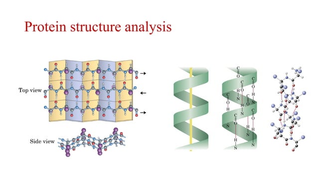 Ftir Analysis Of Secondary Structure Of Protein