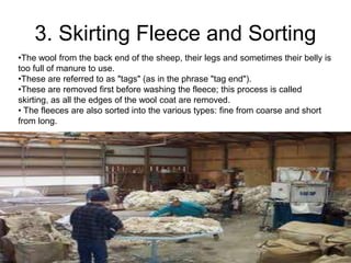 F TO Y unit 2WOOL.pptx