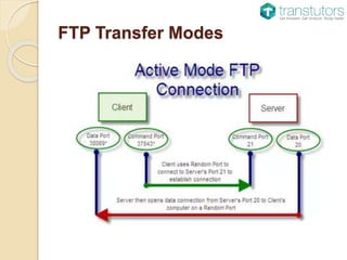 FTP Client and Server | Computer Science | PPTX