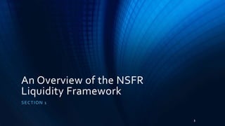 Basel III NSFR Liquidity Framework: Theoretical Implementation ...