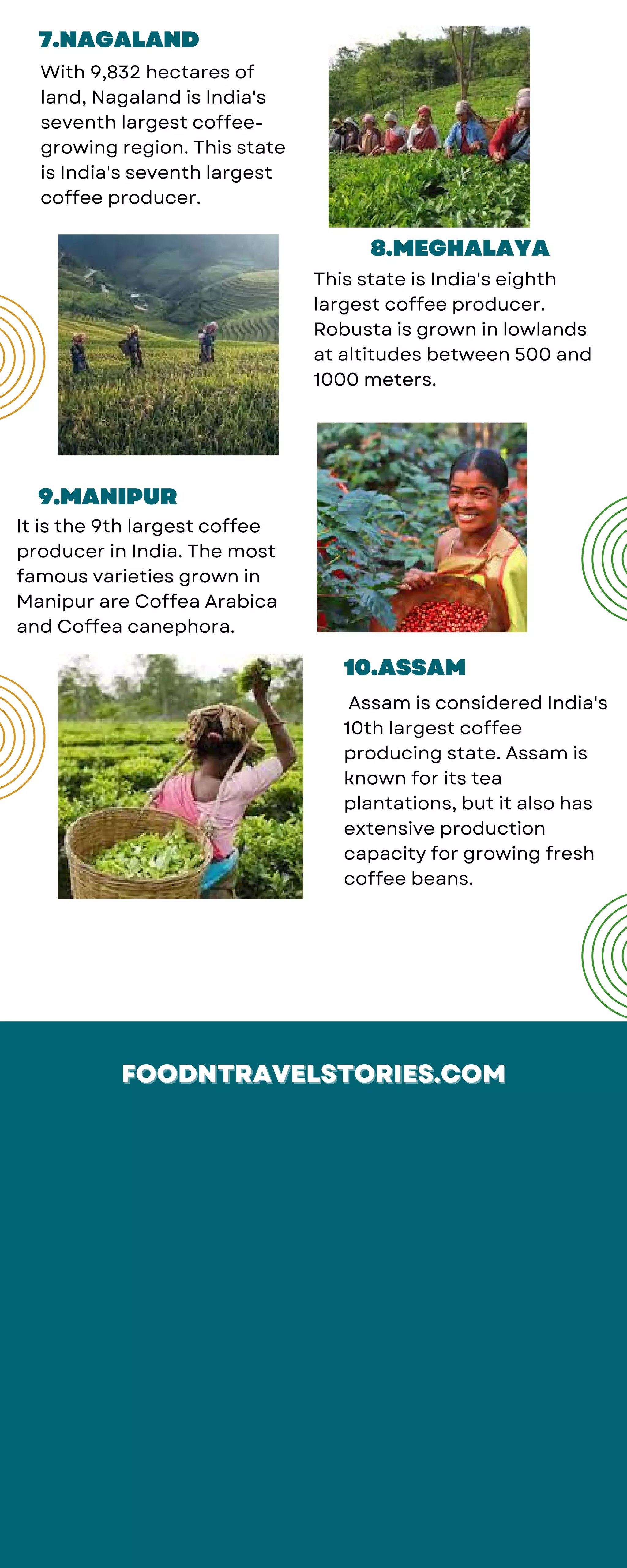 Top 10 Coffee Producing States in India | PDF