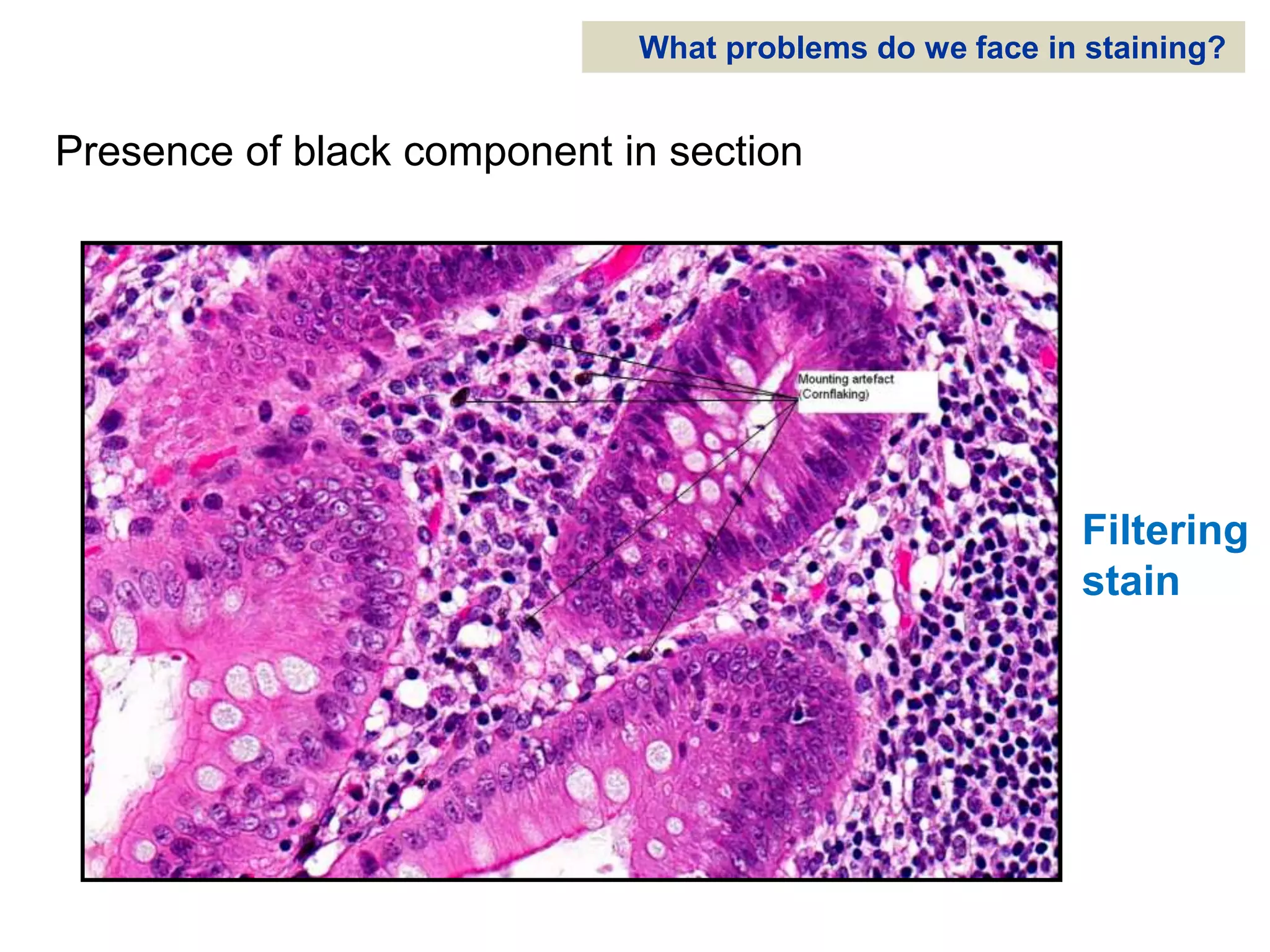 Staining for Conventional Light Microscopy | PPTX