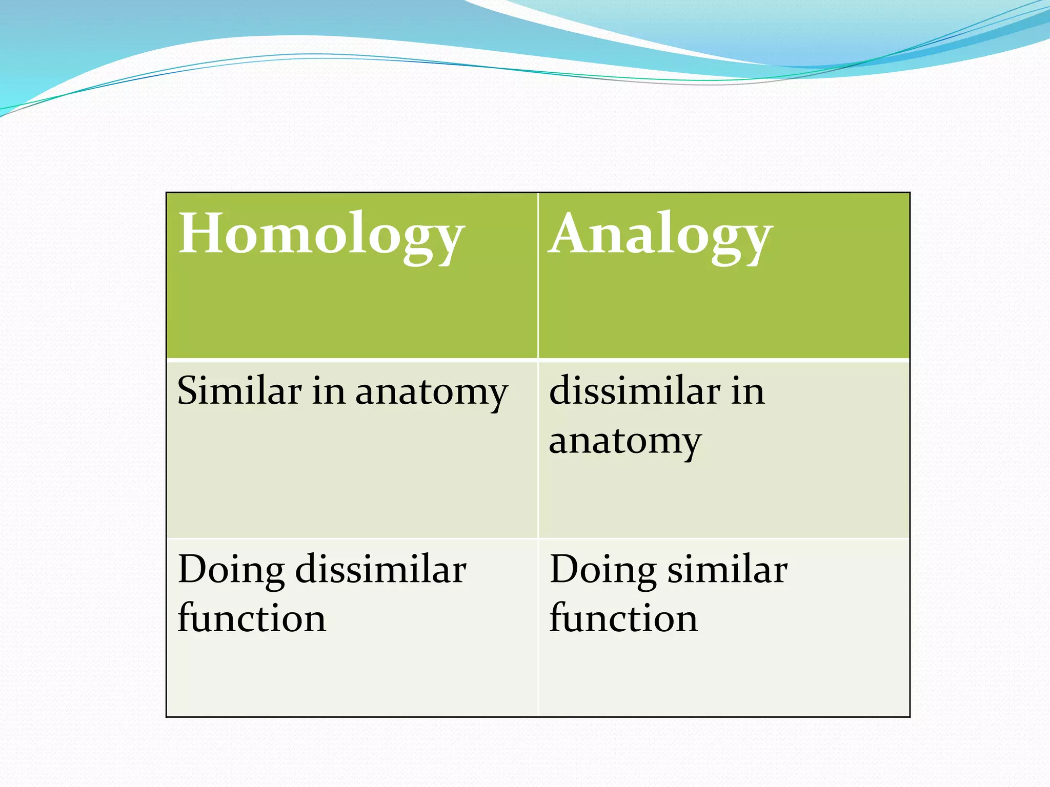 Comparative Anatomy of the Limb | PPTX
