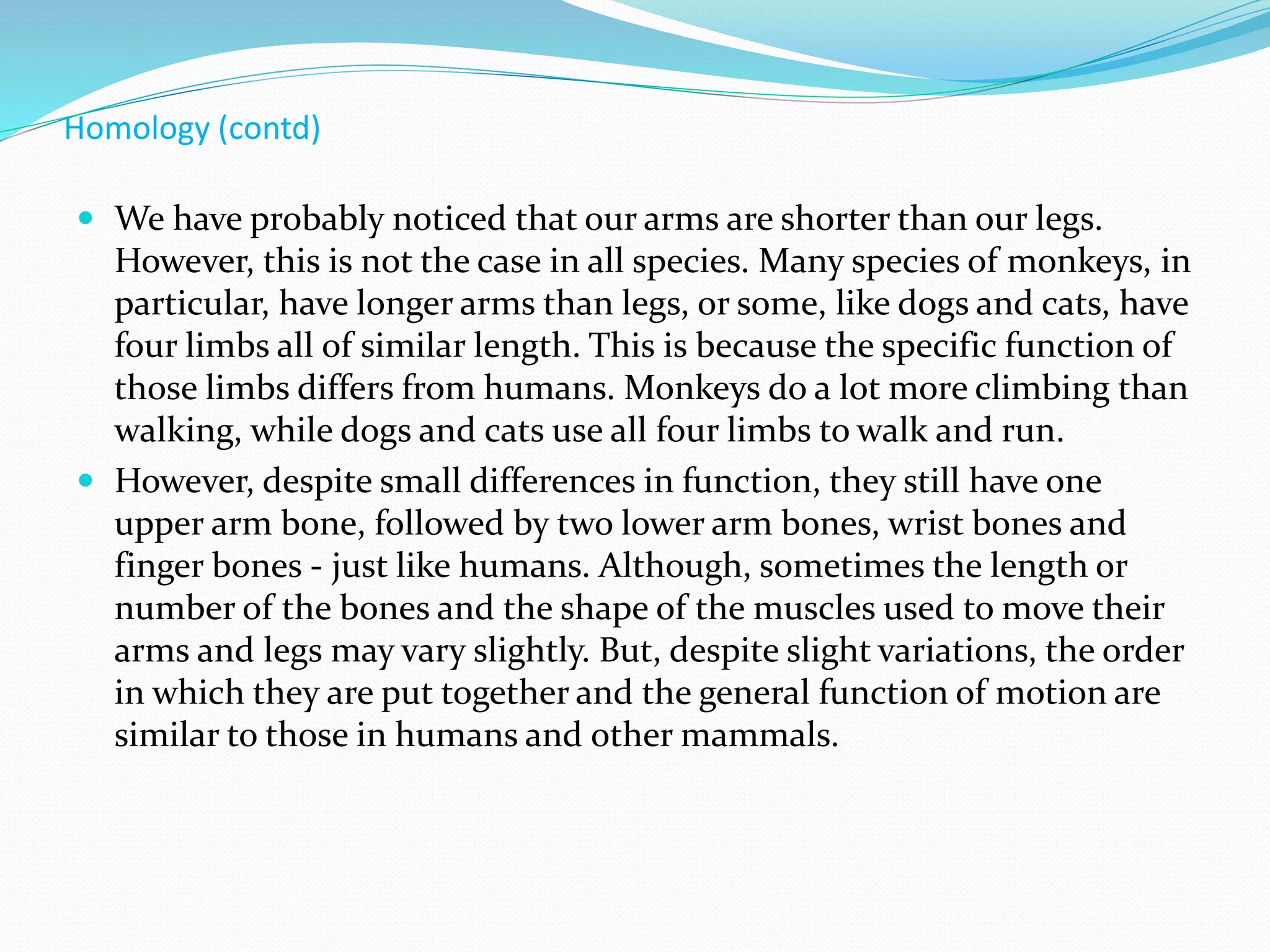 Comparative Anatomy of the Limb | PPTX