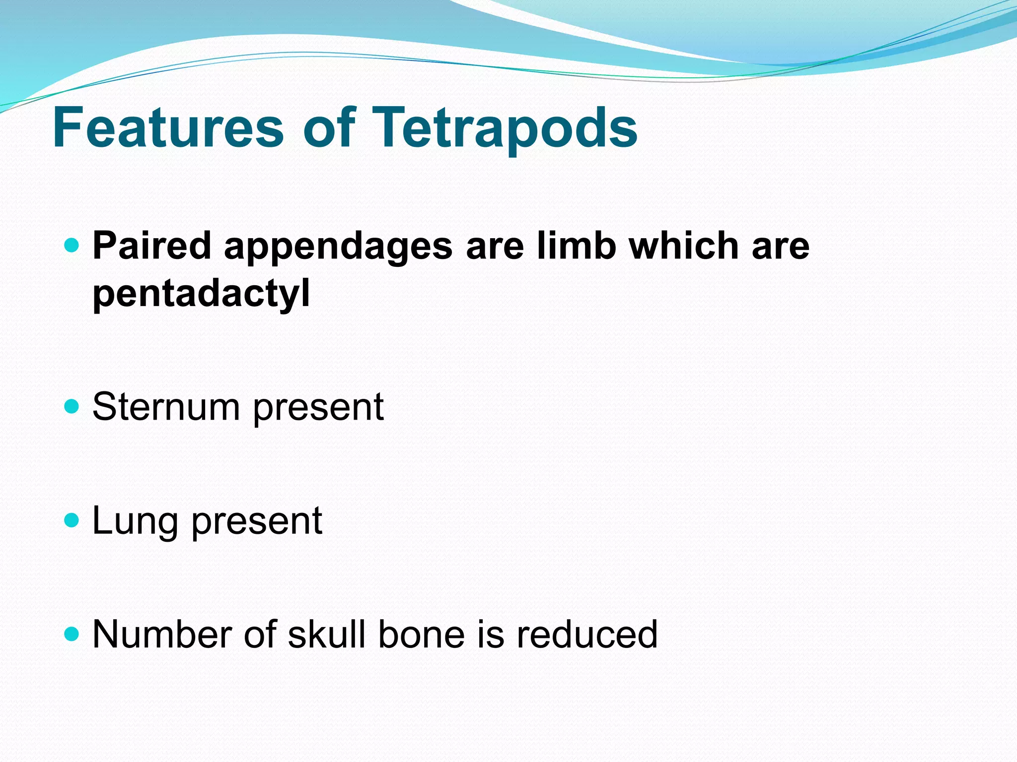 Comparative Anatomy of the Limb | PPTX