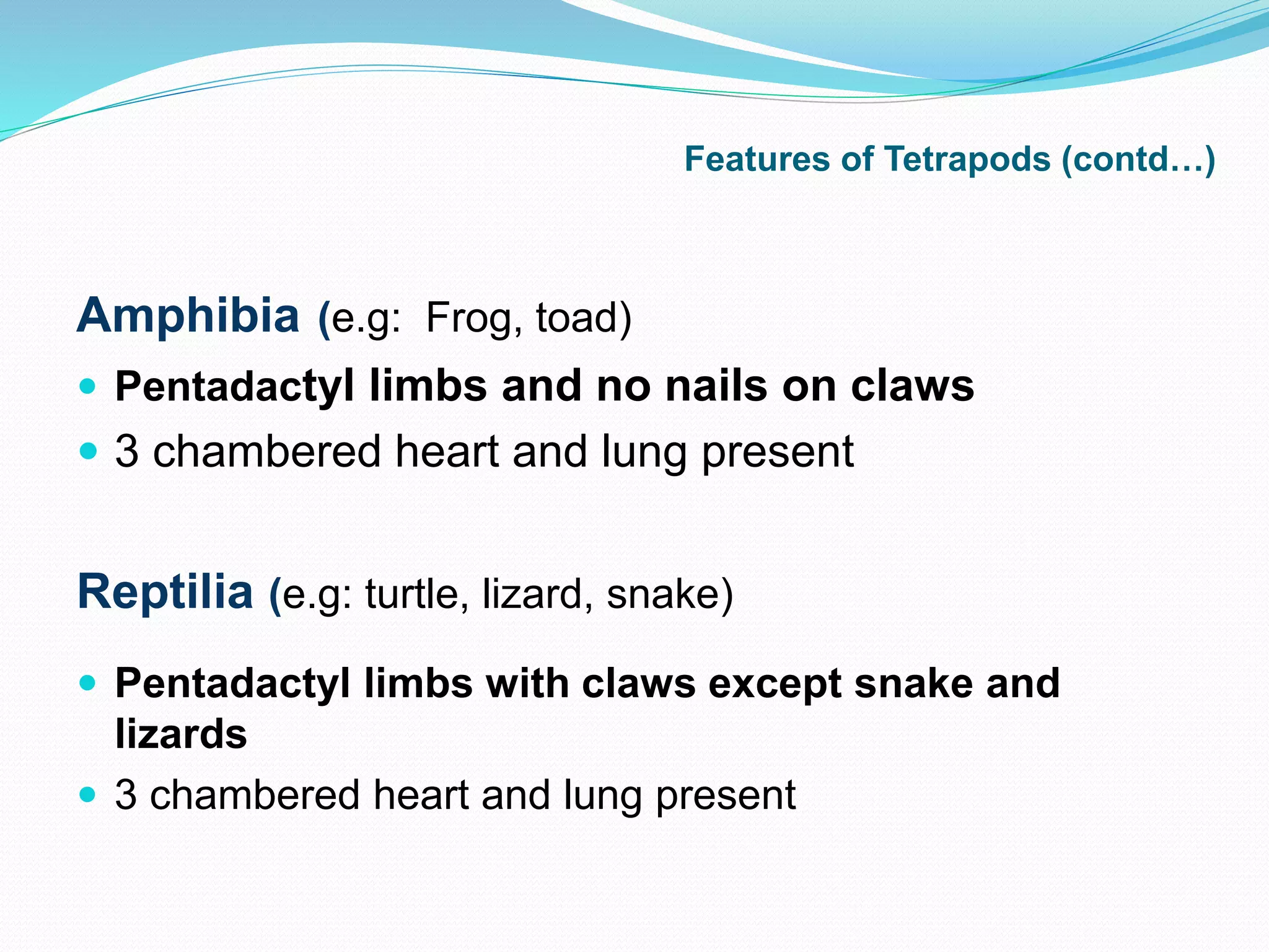 Comparative Anatomy of the Limb | PPTX