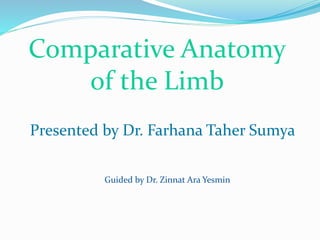 Comparative Anatomy of the Limb | PPT