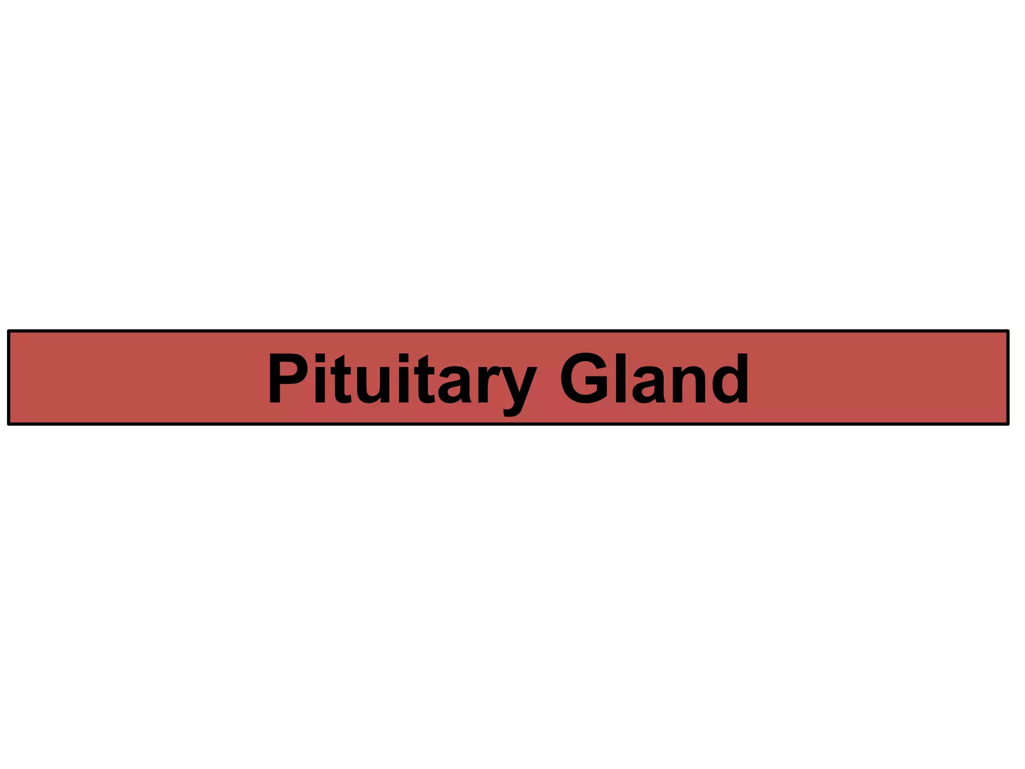 Structure Function Relationship Of The Endocrine Glands Of The Head And