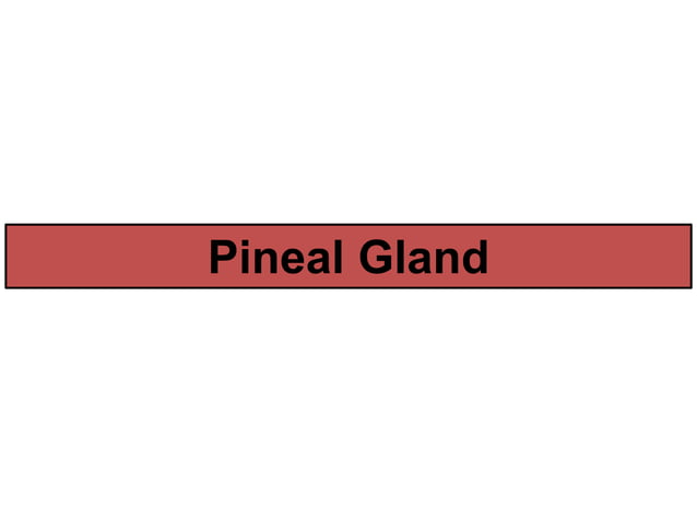 Structure Function Relationship Of The Endocrine Glands Of The Head And