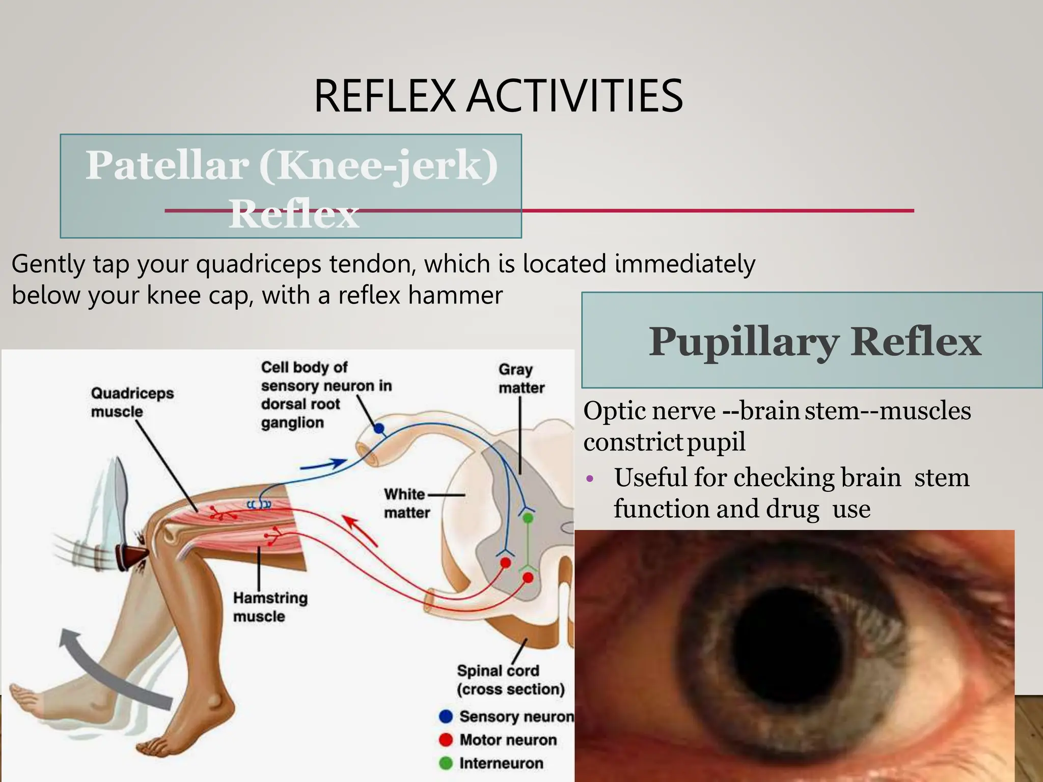 FuFuck you tooFuck you tooFuck you tooFuck you toock you too.pptx
